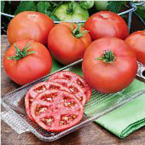 Heatmaster Tomato Seeds (20+ Seeds) | Non GMO | Vegetable Fruit Herb Flower Seeds for Planting | Home Garden Greenhouse Pack