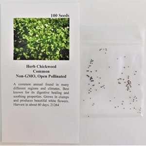 David's Garden Seeds Herb Chickweed Common 8337 (Green) 25 Non-GMO, Heirloom Seeds