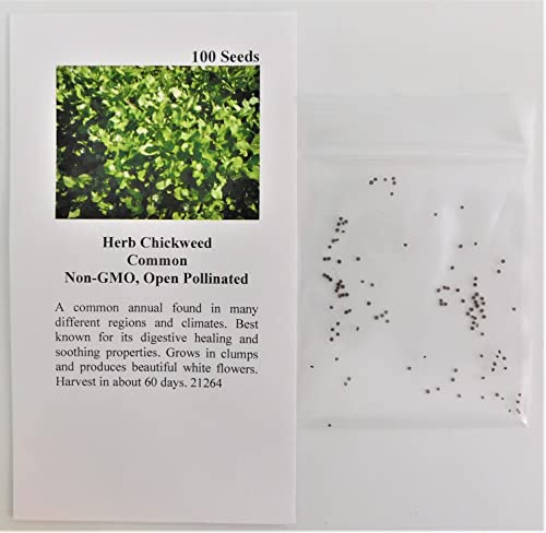 David's Garden Seeds Herb Chickweed Common 8337 (Green) 25 Non-GMO, Heirloom Seeds