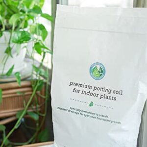 Indoor Plant Soil