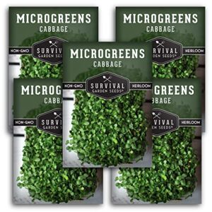 survival garden seeds cabbage microgreens for sprouting and growing – 5 packs – sprout green leafy micro vegetable plants indoors – grow a mini windowsill garden – non-gmo heirloom variety