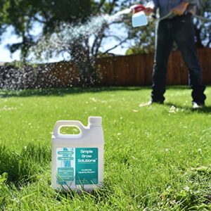 Liquid Surfactant, Non-Ionic - Accelerate Performance & Effectiveness of Foliar Fertilizer and Other Lawn & Garden Solutions - Better Wetting, Sticking & Absorption - 32 Ounce - Simple Grow Solutions