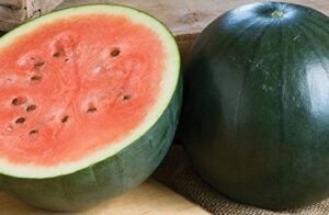 david’s garden seeds fruit watermelon sugar baby fba-4756 (red) 50 non-gmo, heirloom seeds