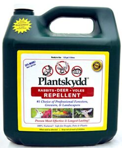 plantskydd animal repellent – repels deer, rabbits, elk, moose, hares, voles, squirrels, chipmunks and other herbivores; ready to use liquid – 1.3 gallon jug (ps-5l)