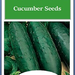 50 Marketmore 76 Cucumber Seeds | Non-GMO | Heirloom | Instant Latch Garden Seeds