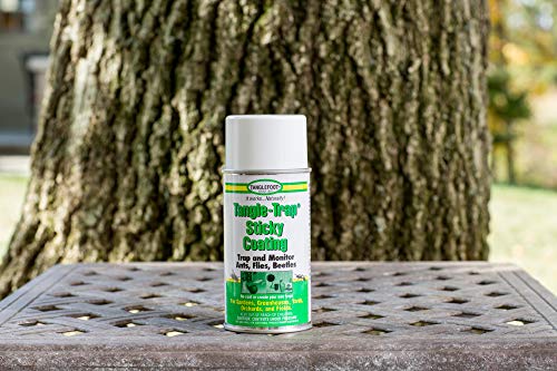 Tanglefoot Tangle-Trap Sticky Coating (Aerosol), 10 oz.