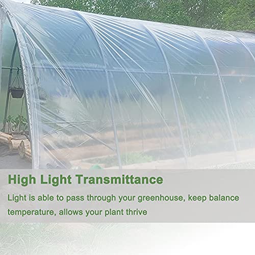 Yowlieu 12' x 25' Clear Greenhouse Plastic Sheeting, 6 Mil UV Resistant Polyethylene Greenhouse Film Hoop Green House Plastic Cover for Farms, Agriculture, Garden