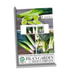 large american flag leek seeds for planting, 500+ heirloom seeds per packet, (isla’s garden seeds), non gmo seeds, botanical name: allium ampeloprasum, great home garden gift