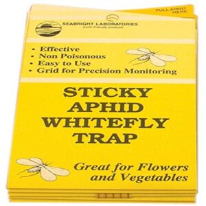 hgslwft 5 count sticky white fly trap (pack of 5)