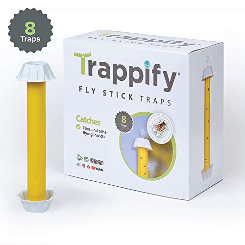 Trappify Hanging Fly Traps Outdoor: Fruit Fly Traps for Indoors | Fly Catcher, Gnat, Mosquito, & Flying Insect Catchers for Inside Home - Disposable Sticky Fly Trap for Indoor House Pest Control (8)