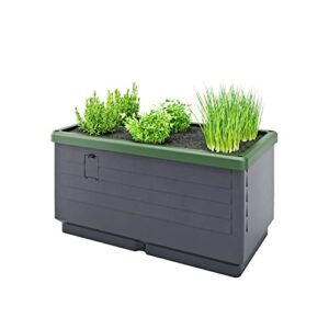 bio green jgl city jungle basic model plant support, charcoal grey/green