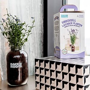 Back to the Roots Lavender Organic Windowsill Planter Kit - Grows Year Round, Includes Everything Needed for Planting