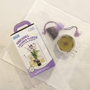 Back to the Roots Lavender Organic Windowsill Planter Kit - Grows Year Round, Includes Everything Needed for Planting