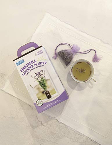 Back to the Roots Lavender Organic Windowsill Planter Kit - Grows Year Round, Includes Everything Needed for Planting