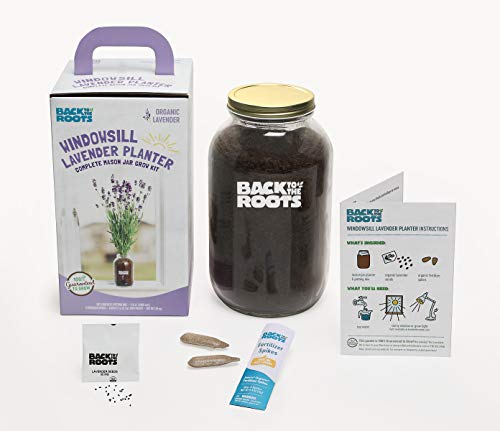 Back to the Roots Lavender Organic Windowsill Planter Kit - Grows Year Round, Includes Everything Needed for Planting