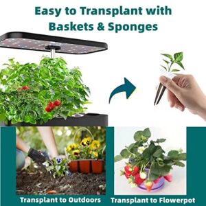 121PCS Hydroponic Seed Pod Kits, Aero Growing Kit with 30 PCS Grow Baskets 30 PCS Transparent Insulation Lids 30 PCS Plant Grow Sponges 30 PCS Labels 1 Tweezers for Seed Starting System