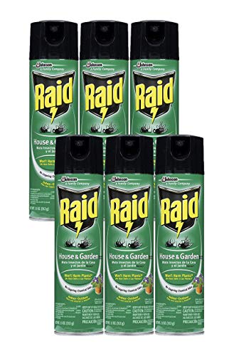 Raid House Garden Bug Killer, 11 OZ (6)