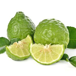 qauzuy garden 3 makrut kaffir lime seeds (citrus hystrix) – fragrant edible leaves – perennial tropical exotic fruit tree – great for container pot – easy to grow