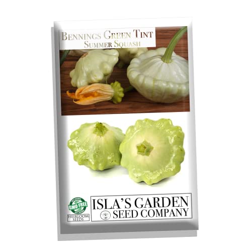 Bennings Green Tint Summer Squash, 30 Heirloom Seeds Per Packet, Patty Pan Squash, Non GMO Seeds, Botanical Name: Cucurbita Pepo, Isla's Garden Seeds