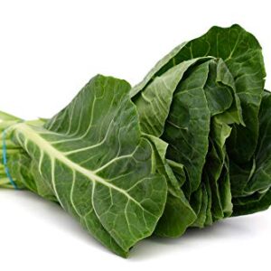 Champion Collard Greens Seeds, 1000 Heirloom Seeds Per Packet, (Isla's Garden Seeds), Non GMO Seeds, Botanical Name: Brassica oleracea