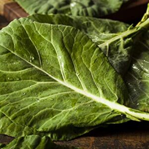 Champion Collard Greens Seeds, 1000 Heirloom Seeds Per Packet, (Isla's Garden Seeds), Non GMO Seeds, Botanical Name: Brassica oleracea