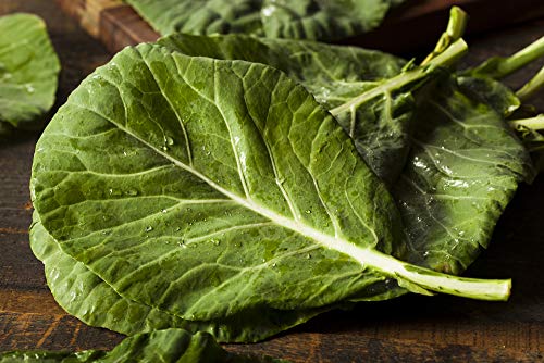 Champion Collard Greens Seeds, 1000 Heirloom Seeds Per Packet, (Isla's Garden Seeds), Non GMO Seeds, Botanical Name: Brassica oleracea