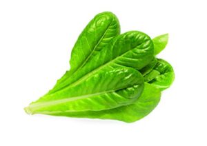 click and grow smart garden romaine lettuce plant pods, 9-pack