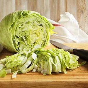 david’s garden seeds lettuce iceberg 4539 (green) 200 non-gmo, heirloom seeds