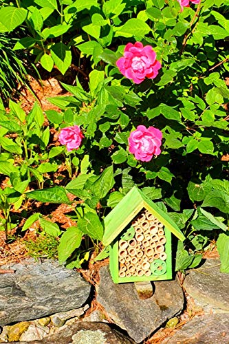 Rose Pink and Green Mason Bee House for The Garden Bundle - Lifetime Replacement Guarantee