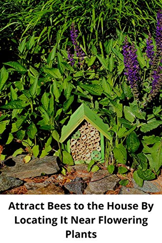 Rose Pink and Green Mason Bee House for The Garden Bundle - Lifetime Replacement Guarantee