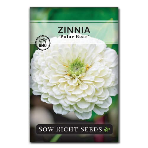 Sow Right Seeds - Moon Garden White Flower Seeds for Planting - Daisies, White Poppy, Polar Bear Zinnia, and Moonflower Seeds - Non-GMO Variety to Plant a Stunning Evening Moon Flower Garden