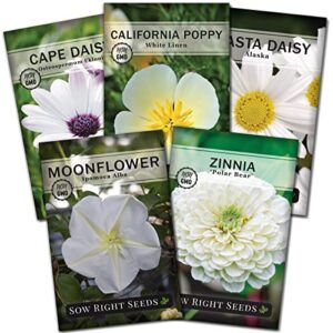 sow right seeds – moon garden white flower seeds for planting – daisies, white poppy, polar bear zinnia, and moonflower seeds – non-gmo variety to plant a stunning evening moon flower garden