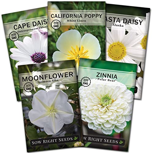 Sow Right Seeds - Moon Garden White Flower Seeds for Planting - Daisies, White Poppy, Polar Bear Zinnia, and Moonflower Seeds - Non-GMO Variety to Plant a Stunning Evening Moon Flower Garden