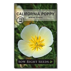 Sow Right Seeds - Moon Garden White Flower Seeds for Planting - Daisies, White Poppy, Polar Bear Zinnia, and Moonflower Seeds - Non-GMO Variety to Plant a Stunning Evening Moon Flower Garden