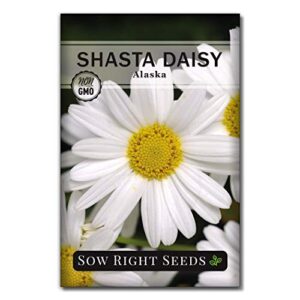 Sow Right Seeds - Moon Garden White Flower Seeds for Planting - Daisies, White Poppy, Polar Bear Zinnia, and Moonflower Seeds - Non-GMO Variety to Plant a Stunning Evening Moon Flower Garden