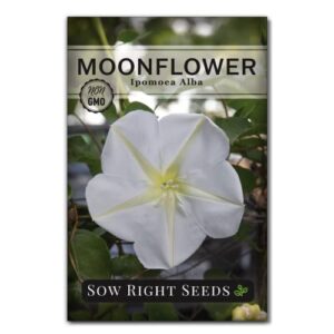 Sow Right Seeds - Moon Garden White Flower Seeds for Planting - Daisies, White Poppy, Polar Bear Zinnia, and Moonflower Seeds - Non-GMO Variety to Plant a Stunning Evening Moon Flower Garden