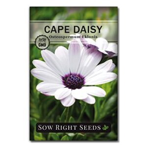 Sow Right Seeds - Moon Garden White Flower Seeds for Planting - Daisies, White Poppy, Polar Bear Zinnia, and Moonflower Seeds - Non-GMO Variety to Plant a Stunning Evening Moon Flower Garden