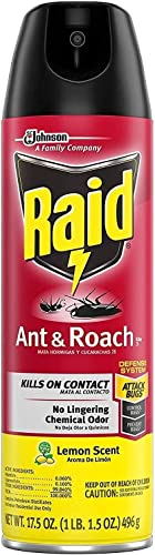 Raid Ant & Roach Killer Lemon Scent 1.09 Pound (Pack of 8)