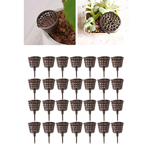 AEIOFU Bonsai Fertilizer Basket Reusable Plastic Garden Tool Cover Box Basket Pots for Flower Plant Succulents 100PCS