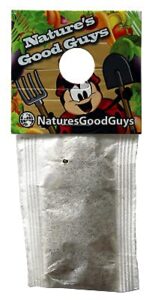 nature’s good guys neoseiulus californicus 10 sachets with 250 mites