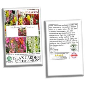 Fairy Bouquet "Spurred" Snapdragon Flowers for Planting, 2000+ Seeds Per Packet, (Isla's Garden Seeds), Non GMO & Heirloom Seeds, Great Flower Garden Gift