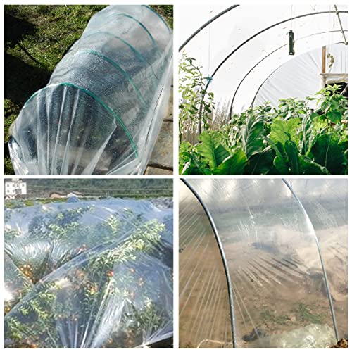 Storystore 2.5 Mil Greenhouse Plastic Film, UV Resistant Polyethylene Film, Green House Hoop Supply Plant Cover Sheeting for Agriculture, Garden (15' x 40')