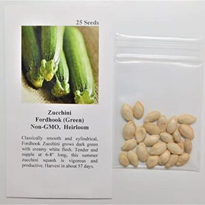 David's Garden Seeds Zucchini Fordhook FBA-6534 (Green) 25 Non-GMO, Heirloom Seeds