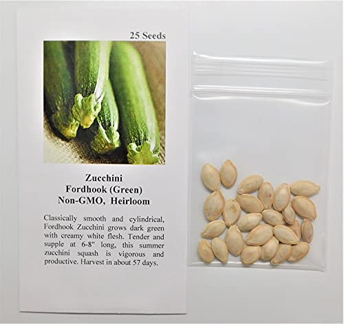 David's Garden Seeds Zucchini Fordhook FBA-6534 (Green) 25 Non-GMO, Heirloom Seeds