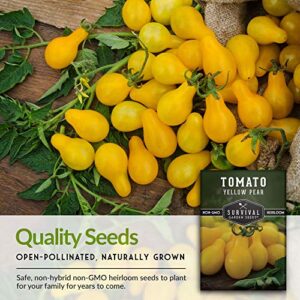 Survival Garden Seeds - Yellow Pear Tomato Seed for Planting - Packet with Instructions to Plant and Grow Golden Tomatoes in Your Home Vegetable Garden - Non-GMO Heirloom Variety