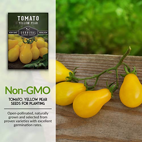 Survival Garden Seeds - Yellow Pear Tomato Seed for Planting - Packet with Instructions to Plant and Grow Golden Tomatoes in Your Home Vegetable Garden - Non-GMO Heirloom Variety