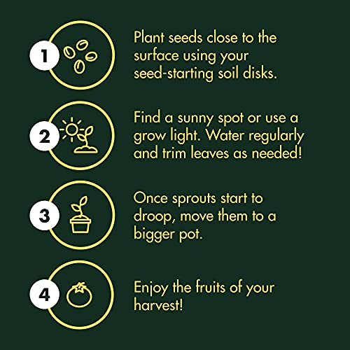 Indoor Vegetable Garden Starter Kit with Tomato Seeds for Planting - Tomato Garden Grow Kit, Non GMO Heirloom Seeds, Wood Gift Box, Soil, Pots, Plant Markers, DIY Home Gardening Gifts for Plant Lovers