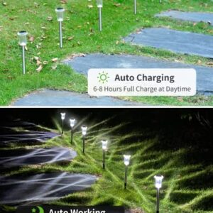 papasbox 12 Pack Solar Pathway Lights Solar Outdoor Lights Stainless Lamp Waterproof LED Solar Powered Landscape Path Ground Stakes Light for Lawn Garden Yard Patio Walkway Driveway Lighting