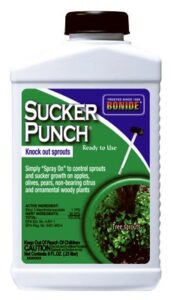 sucker punch plant growth regulator, ready-to-use brush top, 8-oz.