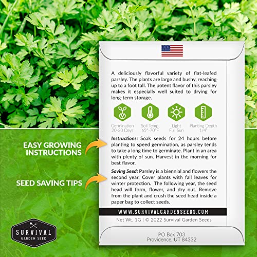 Survival Garden Seeds - Giant of Italy Parsley Seed for Planting - Packet with Instructions to Plant and Grow Italian Flat Leaf Parsley Herbs in Your Home Vegetable Garden - Non-GMO Heirloom Variety